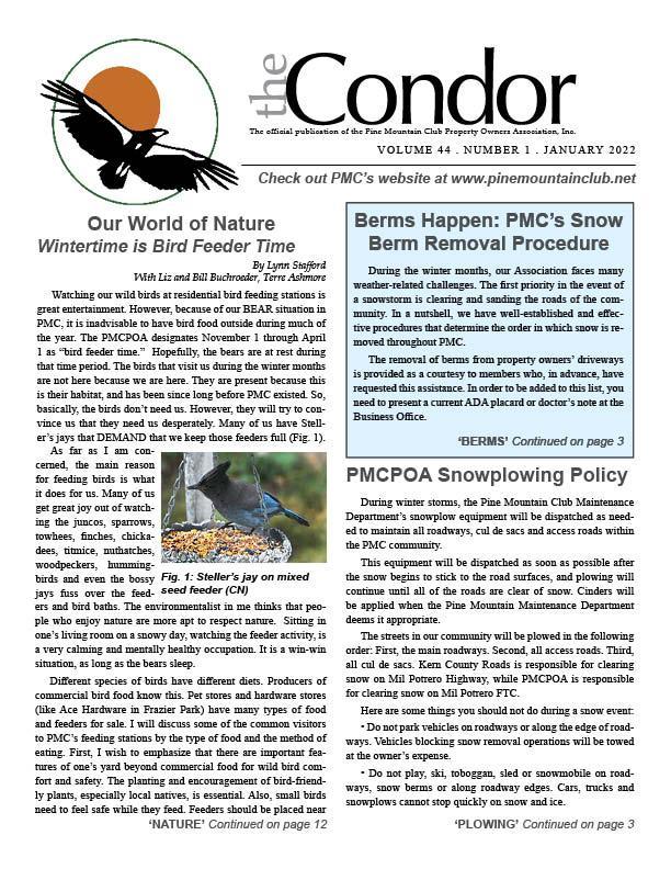 Condor Newsletter Archive - Pine Mountain Club